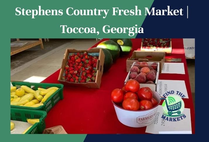 Little Italy Mercato Farmers' Market | San Diego CA